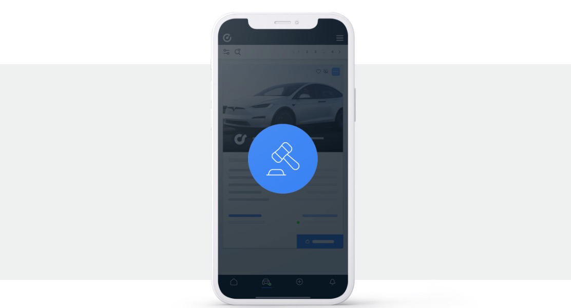 Auction of seized vehicles